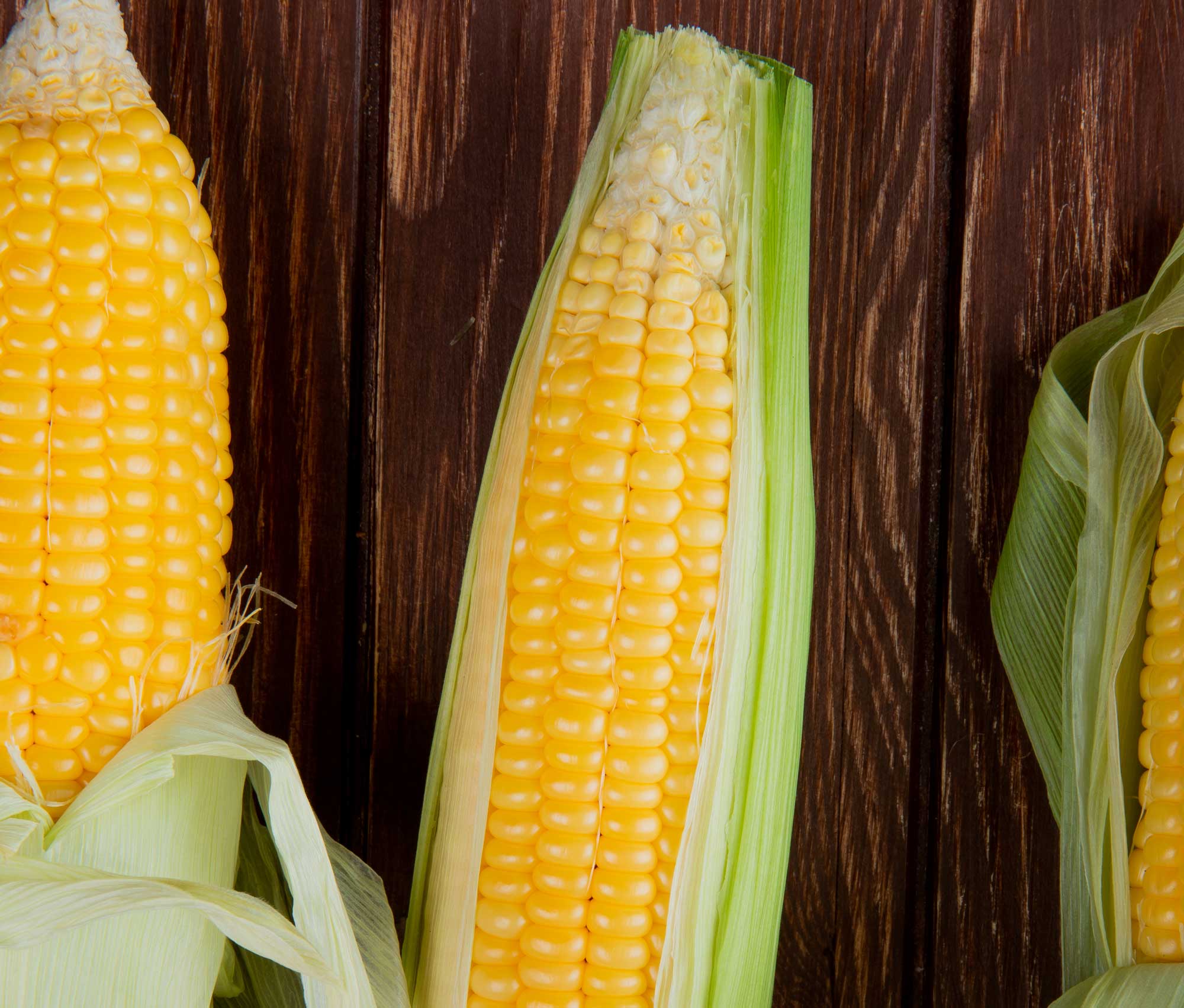 Maize fertilizer lines for Arab Countries